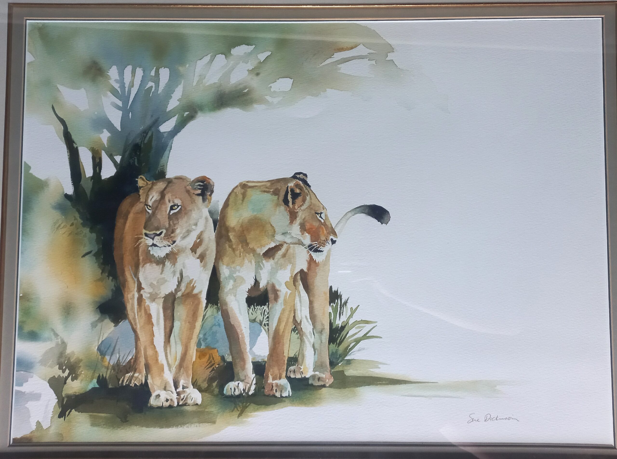 Shingwedzi Lions - Sue Dickinson Artist